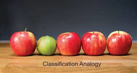 Analogy And Classification Description Examples