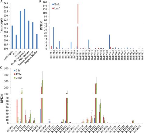 Transcriptome Data Analysis To Identify Candidate Bstpss Ab Serrata