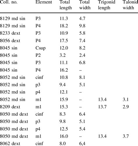 Teeth Measurements Mm From Pseudaelurus Romieviensis Roman And Viret Download Table