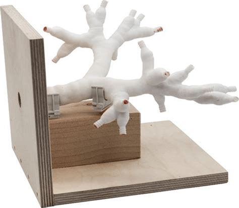 The Three Dimensional Printed Airway Download Scientific Diagram