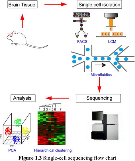 Figure 11 From Model Based Deep Siamese Autoencoder For Clustering Single Cell Rna Seq Data