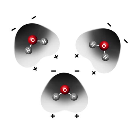 Simulations And Videos For Lesson 5 1 Water Is A Polar Molecule American Chemical Society