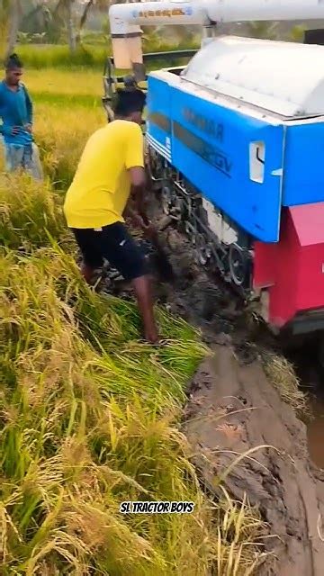 බය නැතුව දාන්න එරෙන් නෑ එහෙම කියලා කියපු කුබුරැ පස්සේ ලෝක අමාරැවක තමයි