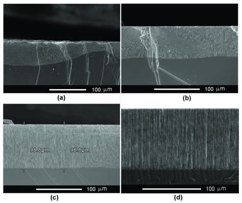 Sem Cross Sectional View Of Porous Template Prepared On Inp With A Download Scientific Diagram