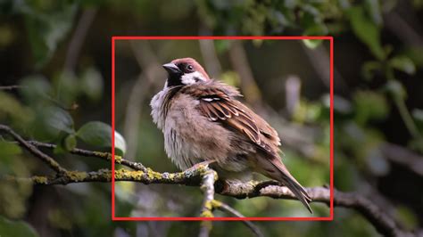 IEでaccept charsetが効かず文字コードを変えてFrom送信する方法 Hira s net ブログ