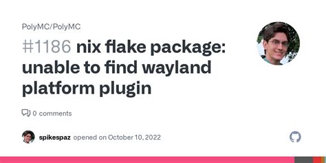 Nix Flake Package Unable To Find Wayland Platform Plugin · Issue 1186