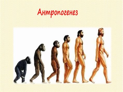 Презентация по историиЧто где когда 9класс Читать или скачать учебники для школы онлайн