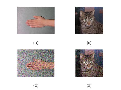 Example Of The Tested Images Overlaid With The Gaussian And Salt And Download Scientific Diagram