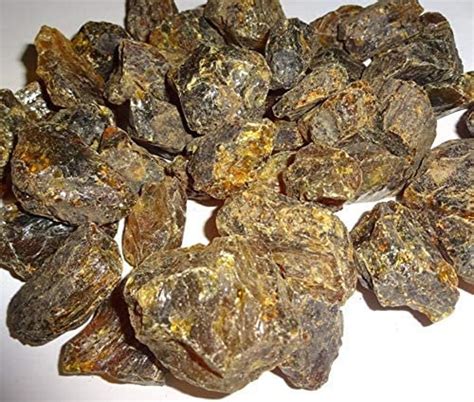 Amber Fossilized Tree Sap Amber From Indonesia Natural Raw Etsy