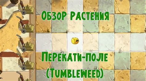 Обзор Перекати поле Tumbleweed растение из Plants Vs Zombies 2 Youtube