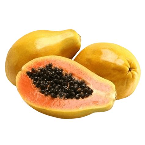 Mamão Papaya Grupo Mns