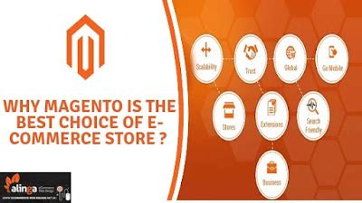 Alinga Ecommerce Why Magento Is The Best Choice Of E Commerce Store
