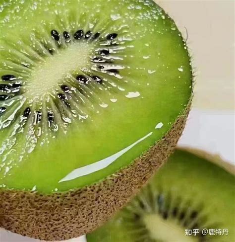 处世原则 知乎