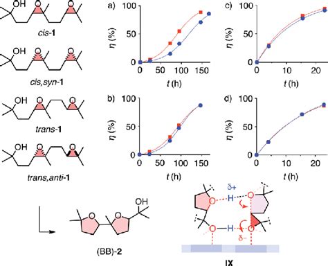 Kinetics Of The Conversion Of Cis A And C Circles Cis Syn A Download Scientific