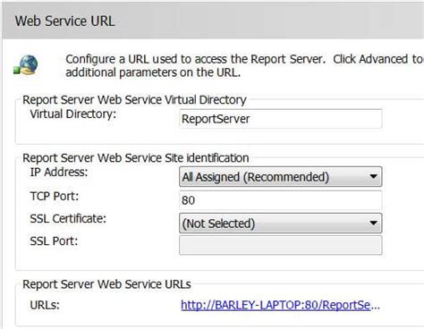 Launch Ssrs Report In Browser From A Net Application