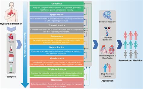 Frontiers From Multi Omics Approaches To Personalized Medicine In