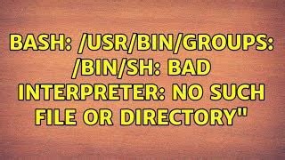 Resolving Bin Bash Bad Interpreter No Such File Or Directory Error Troubleshooting Guide
