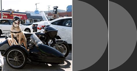 List Sidecar Curated By Bosniak D Medium