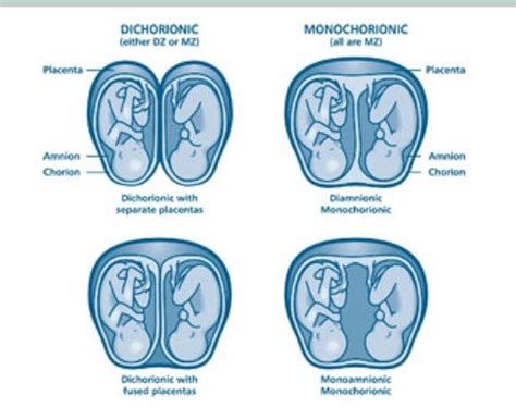 Obs Gyn Flashcards Quizlet