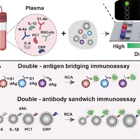 Scheme 1 Schematic Showing The Multiplex Detection Strategy On Download Scientific Diagram