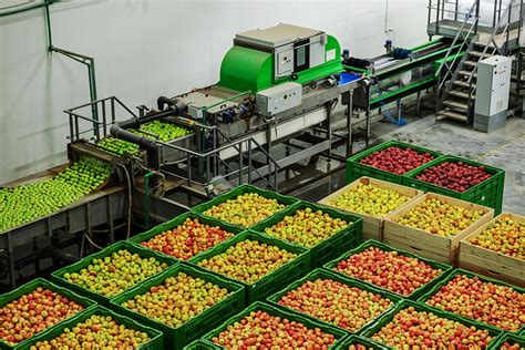 smart closed loop food supply chain in circular economy jgu research blog o p jindal global