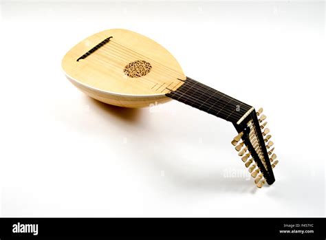 A Lute Is A Plucked String Instrument With A Neck Either Fretted Or Unfretted Having The