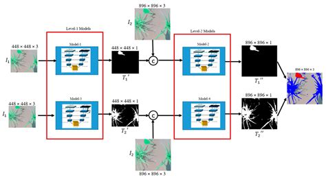 Publications Talha Ilyas
