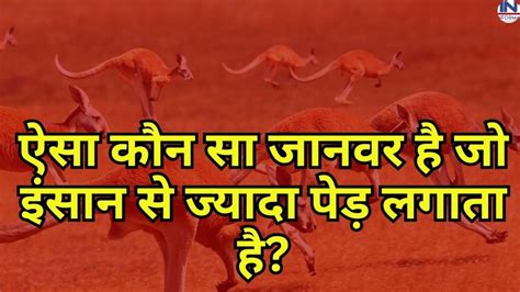 Gk Quiz In Hindi ऐसा कौन सा जानवर है जो इंसान से ज्यादा पेड़ लगाता है