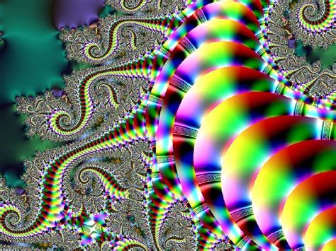 Magic Mushrooms Effects