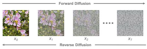 Diffusion Models In Biotechnology Divyas Home Site Diffusion Models In Biotechnology Divyas Home Site