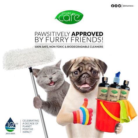 Sanjay Nivangune Posted On Linkedin