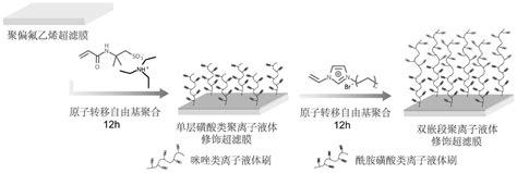 一种双嵌段聚离子液体刷功能化超滤膜的制备方法及其应用