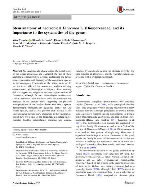 Pdf Stem Anatomy Of Neotropical Dioscorea L Dioscoreaceae And Its Importance To The