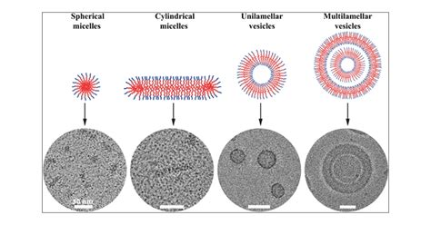 Self Aggregation In Aqueous Media Of Amphiphilic Diblock And Random Block Copolymers Composed Of