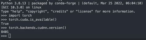 develop like a pro with nvidia docker vs code pytorch