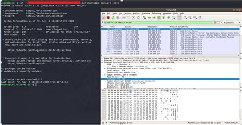 SSL TLS Tunneling To Bypass Filters Avoid Detection Red Team Blog
