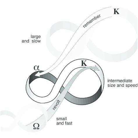The Adaptive Cycle From Panarchy Edited By Lance H Gunderson And Download Scientific Diagram