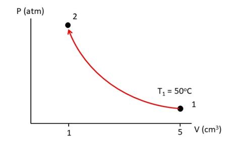 Solved A Sample Of Neon Monatomic Gas Goes Through The