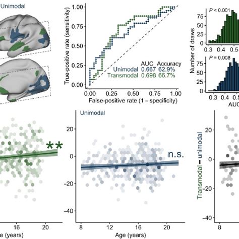 Transmodal Areas Undergo Ei Ratio Development During Adolescence A