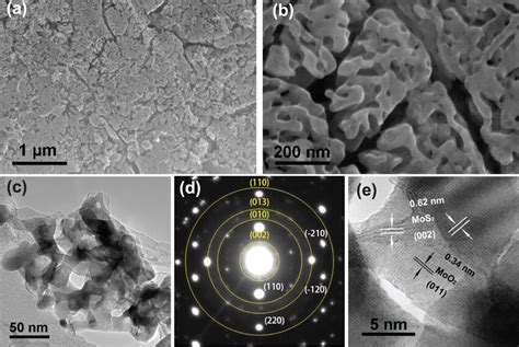 A Sem Micrograph B Higher Magnification Sem Micrograph C Bright Download Scientific