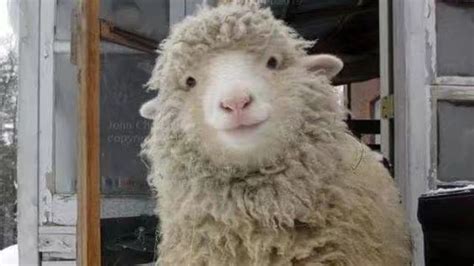 和父母吵了一架 哔哩哔哩