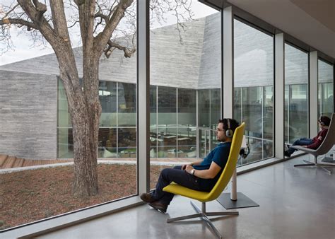 Library By Pascale Guédot Folds Around An Old Walnut Tree