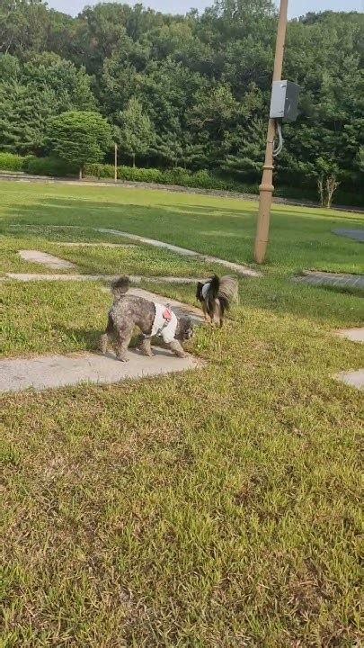 여친 여동생 Youtube