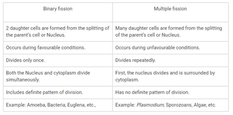 How Does Binary Fission Differ From Multiple Fission Careerguide
