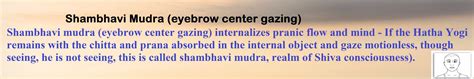 Shambhavi Mudra Eyebrow Center Gazing Karuna Yoga Vidya Peetham
