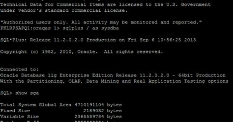 Sap Basis For Beginner Oracle How To Determine Total Memory Assigned For Sga And Pga