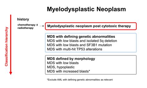 The New Who Classification 2022 Mll