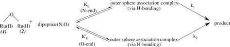 Scheme 1 Possible Reaction Pathways For The Interaction Of Dipeptides