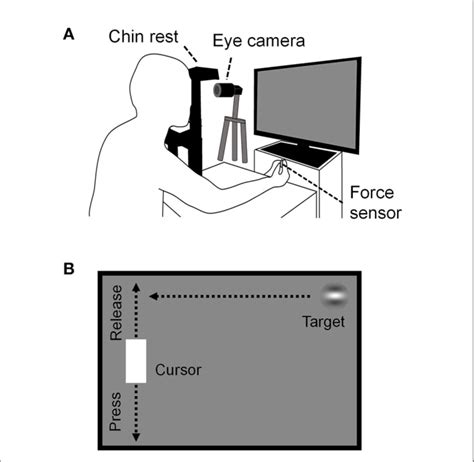 FIGURE E Schema Of The CVM Task A The Experimental Configuration Is Download Scientific
