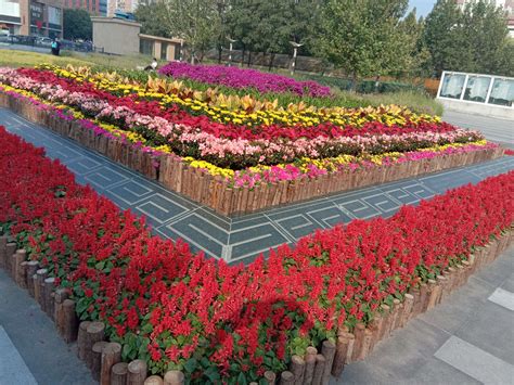 方形花坛效果图 正方形花坛效果图 大山谷图库